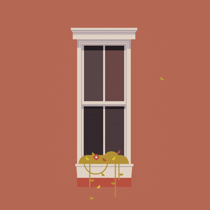 aspectus: Windows of New York_