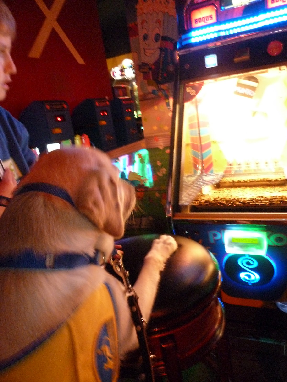 Paws For Independence: Arcade Puppy Day!