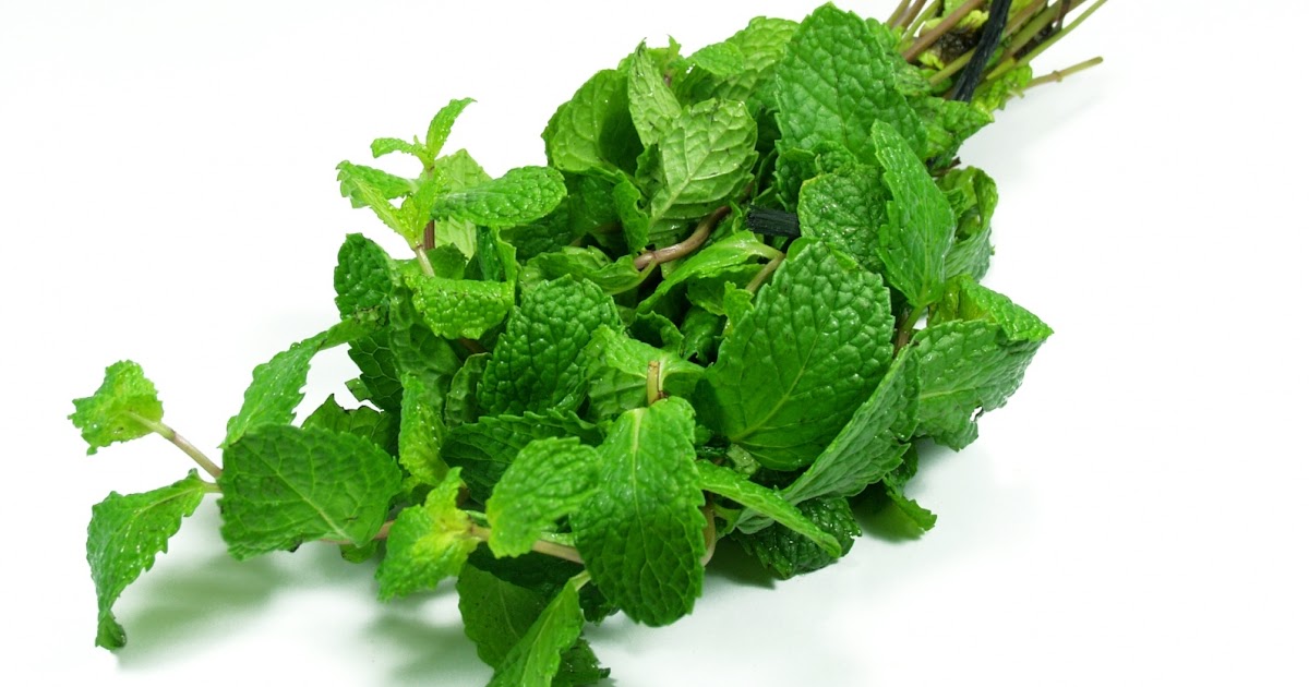 Benefits of Peppermint | INGENIOUS HEALTH