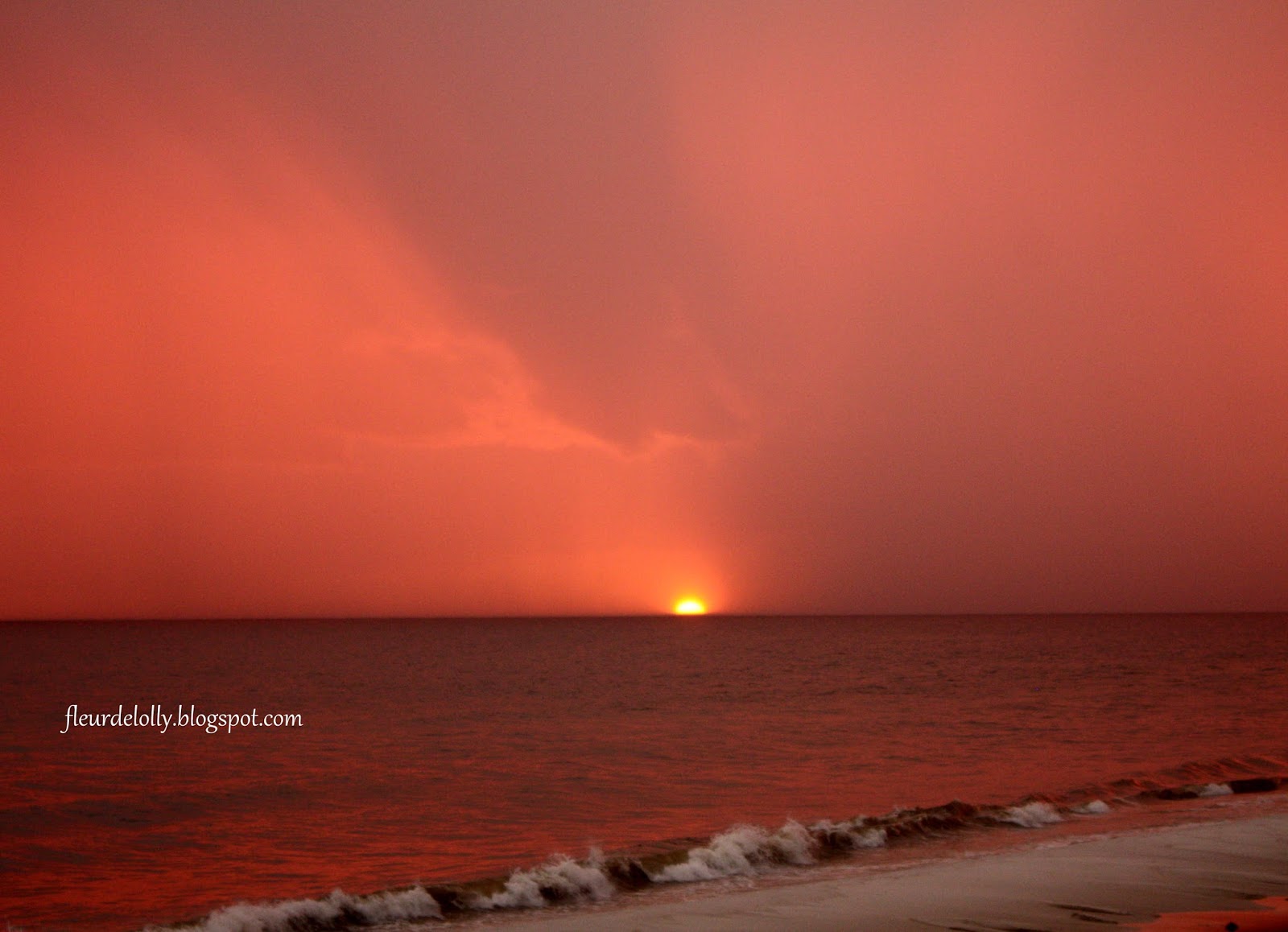 Fleur de Lolly: Dining Out Gulf Coast: Toucan's, Mexico Beach, FL