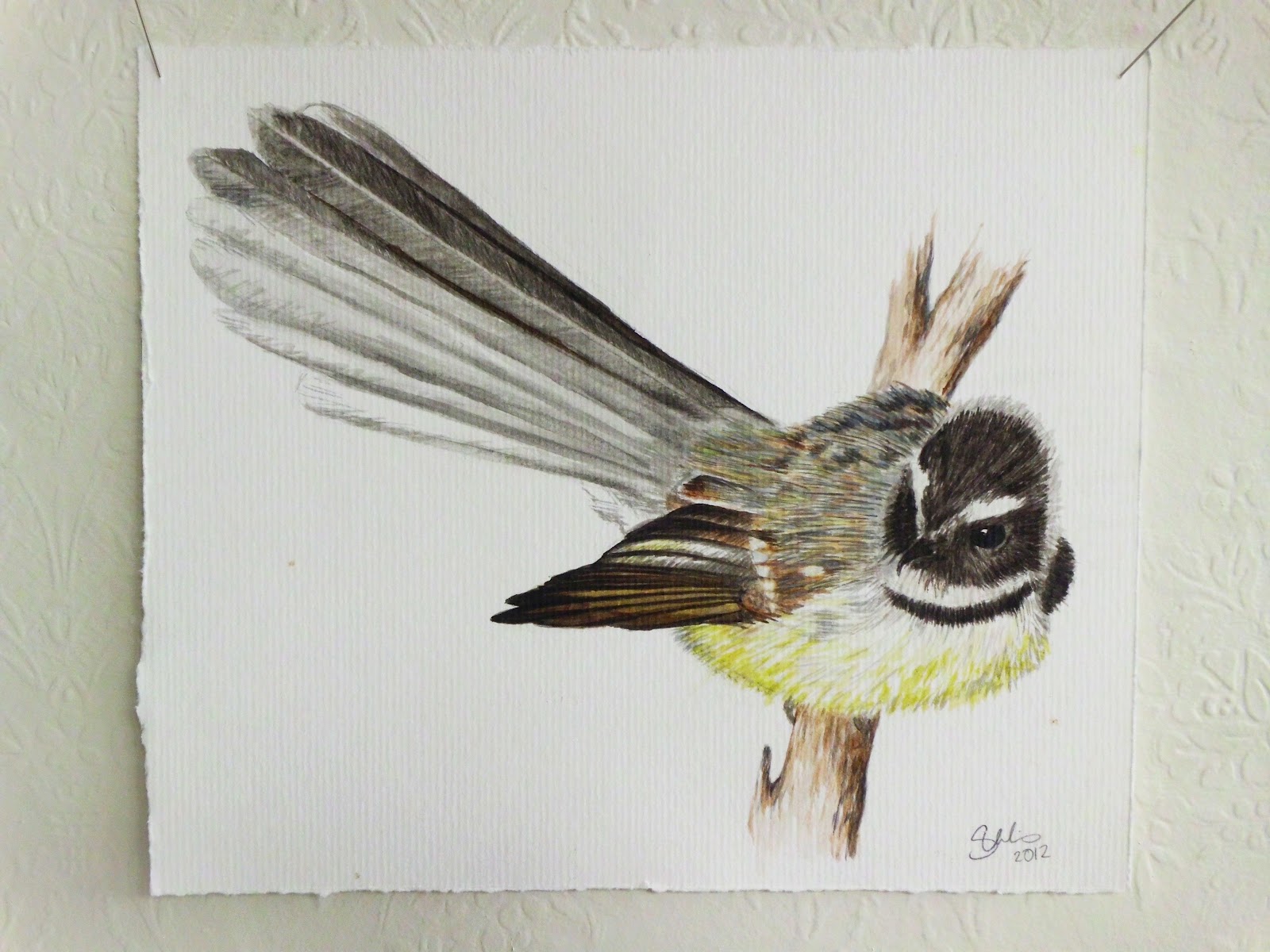 Shannon's Crafts and other stuff: Watercolour Fantail Painting