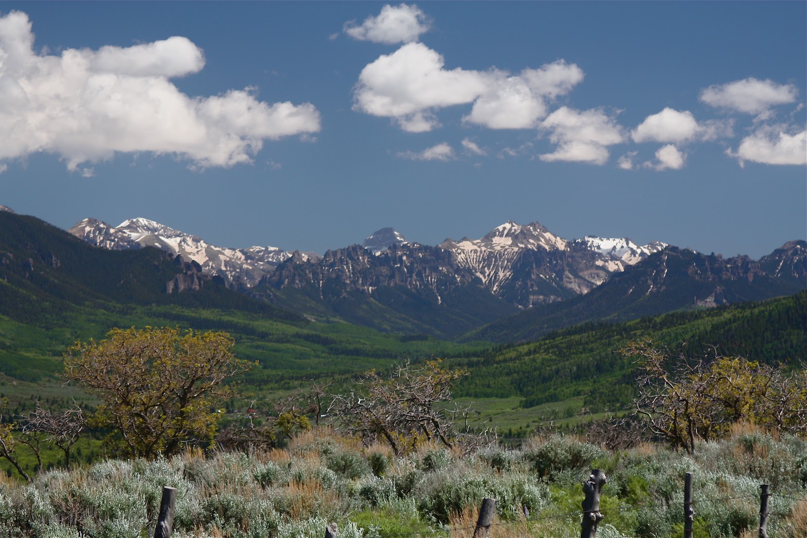 One Day in America: Silver Jack Campground in Colorado's Uncompahgre ...