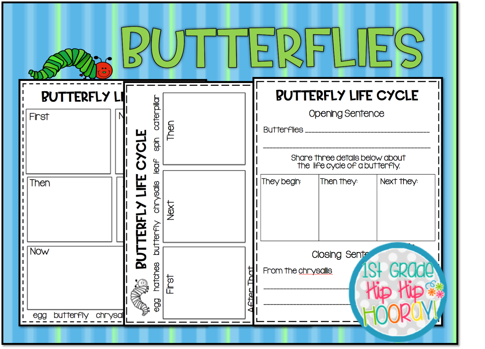1st Grade Hip Hip Hooray!: Butterflies