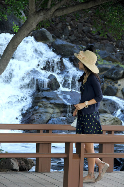 Little Miss Haute Couture: Holiday in Honolulu