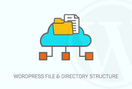 Beginner’s Guide to WordPress File and Directory Structure - info graphic boss