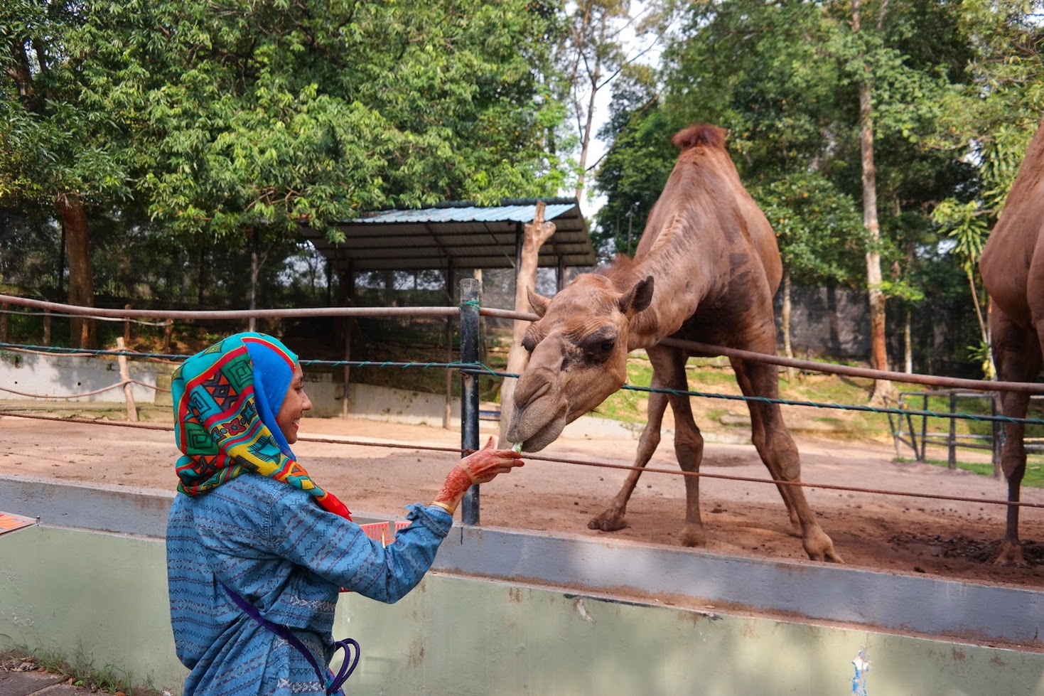 Zoo Johor, Johor Baru — The Good Weekender