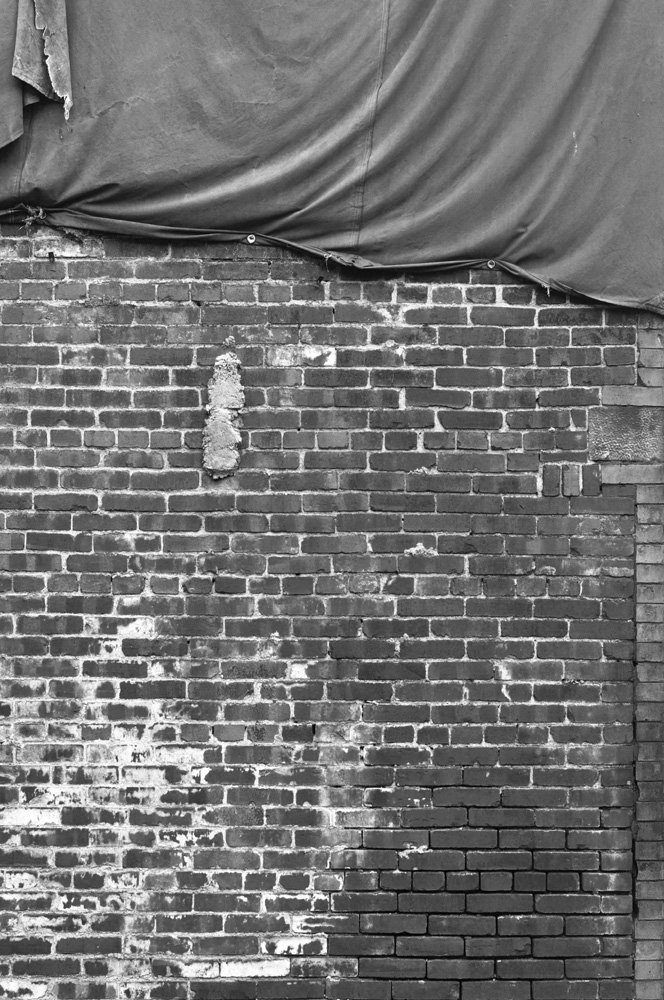 travis markel [photographer]