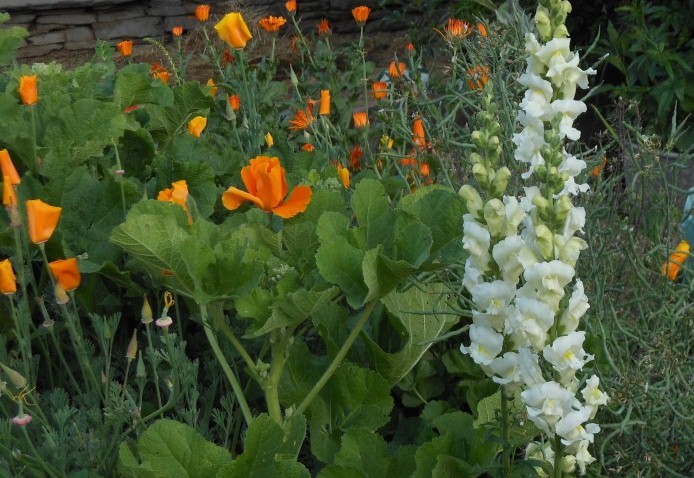 पुष्‍पांजलि: प्रकृति मां