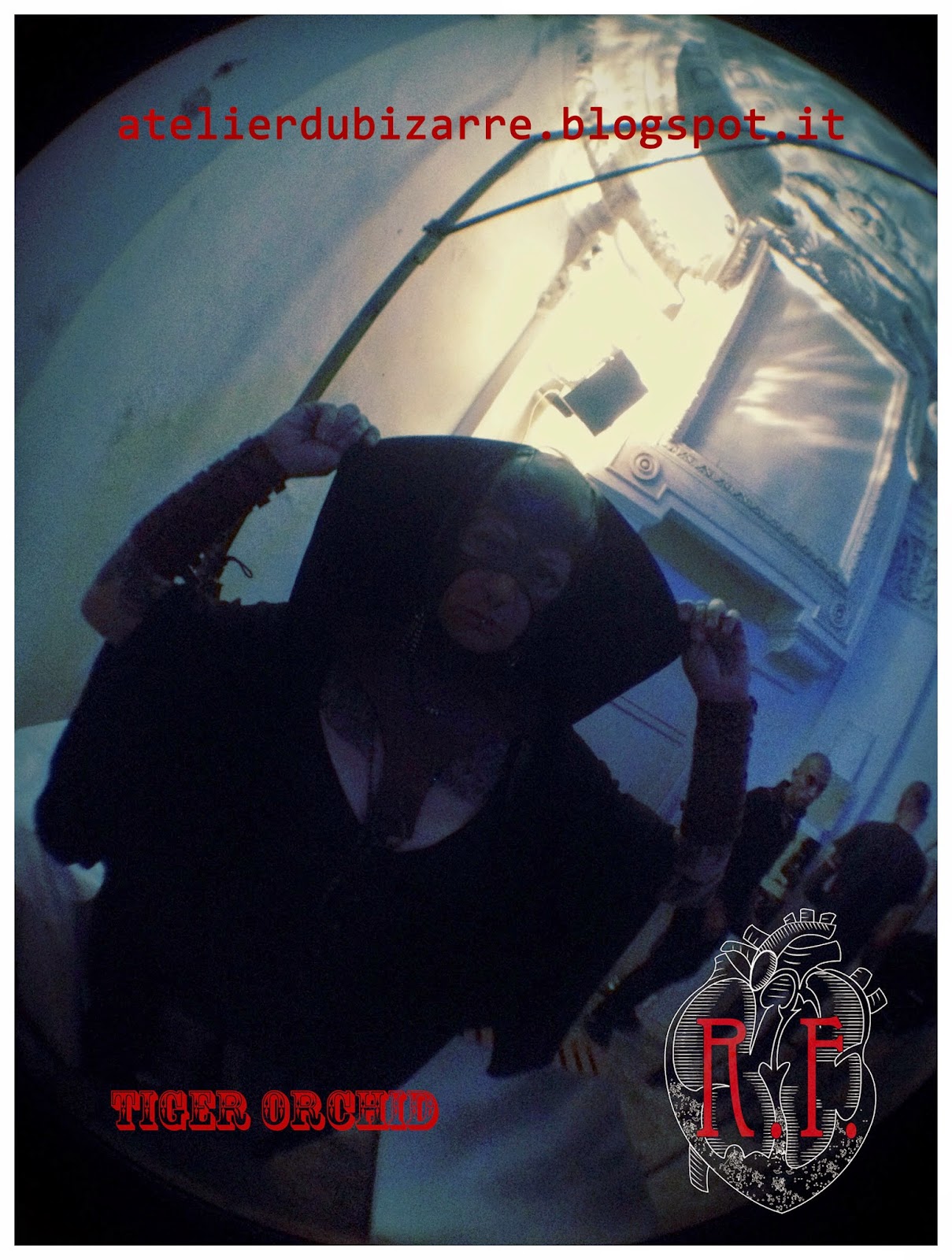 atelier du bizarre: luglio 2014