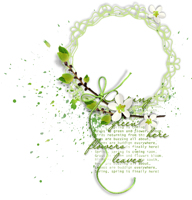 ForgetMeNot: Cluster spring frames