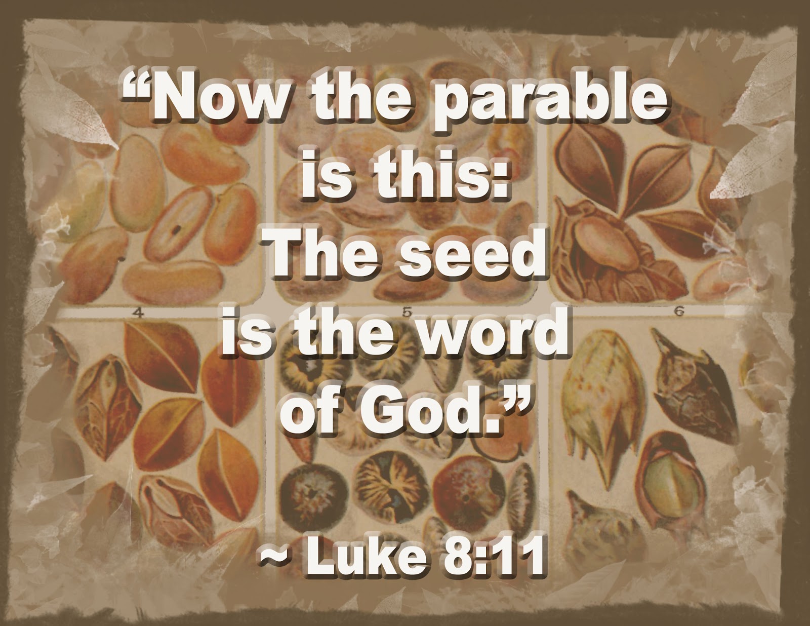 Plush Possum Studio: Faith Graphic of Luke 8:11