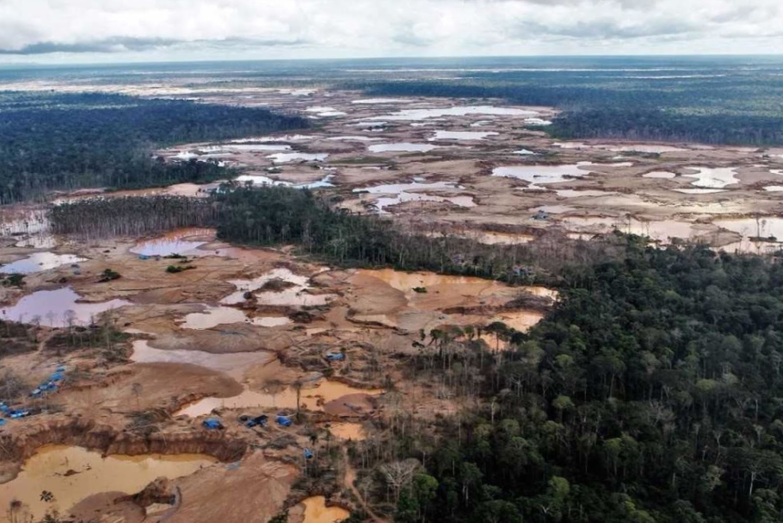 Amazonía peruana pierde 23,000 hectáreas de bosques en el primer ...