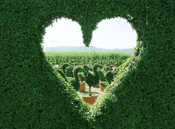 A Library of Design: Heart Gardens