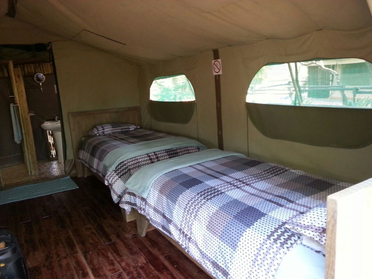 DIIZCHE SAFARI ADVENTURES Blog: South Africa Buffalo Safari: With ...