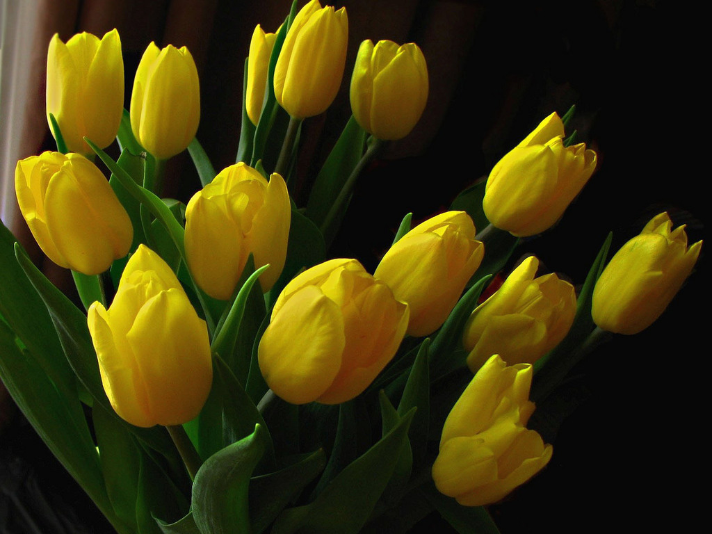 ELIMIKA NA UFURAHIE: MAUA MAZURI YA KUPENDEZA