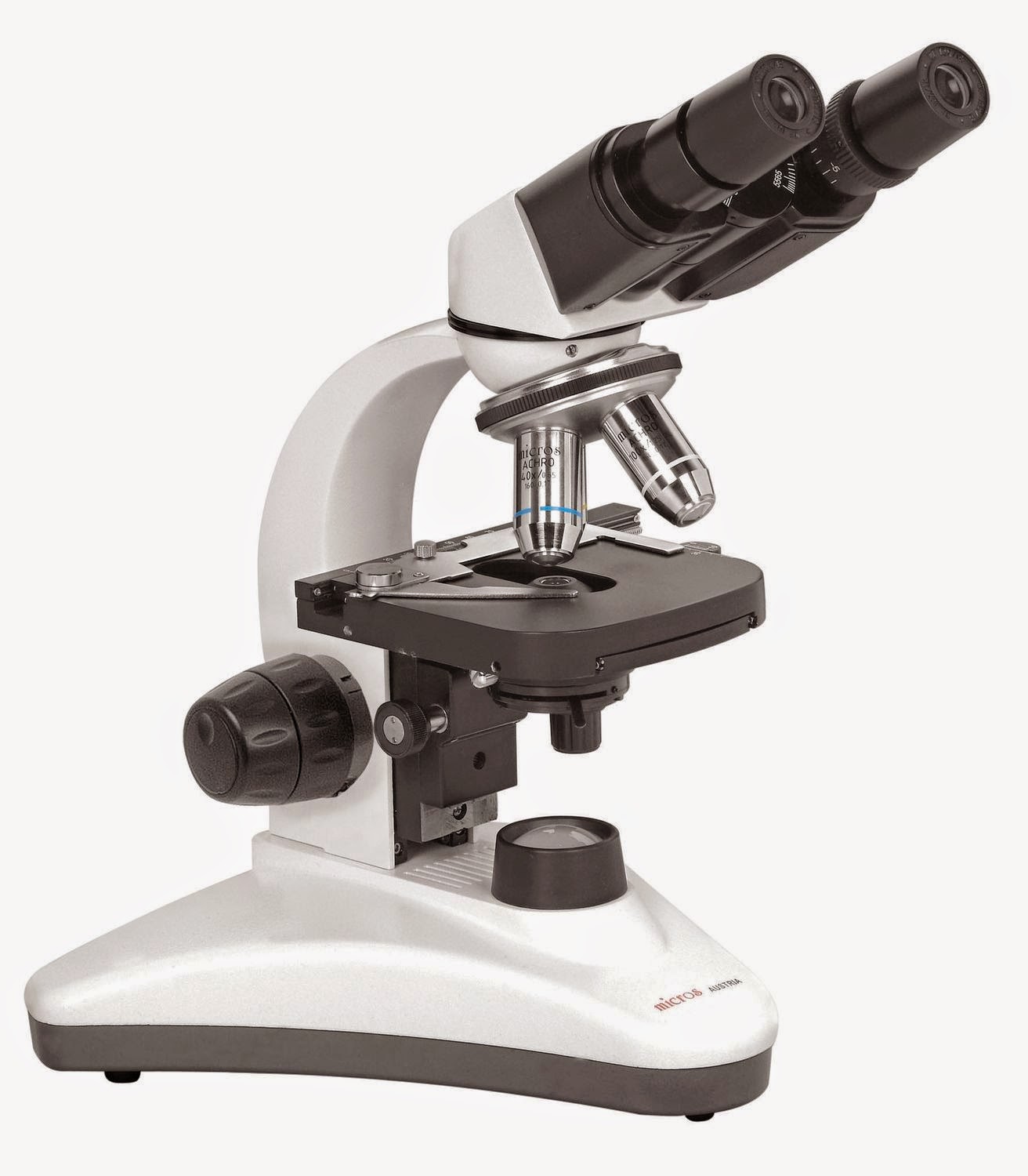 AULA INTERACTIVA SEXTO