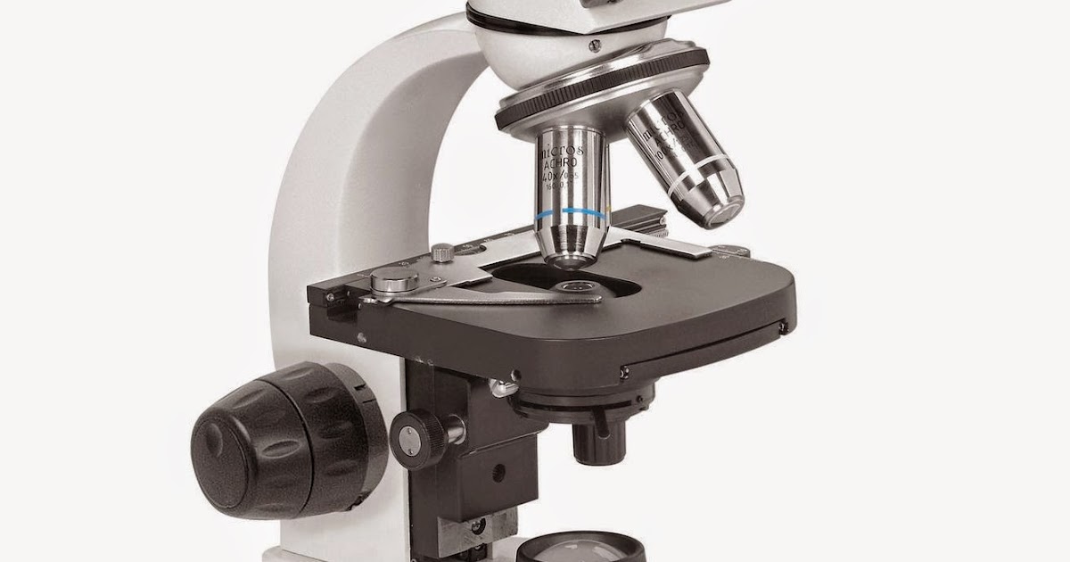 AULA INTERACTIVA SEXTO