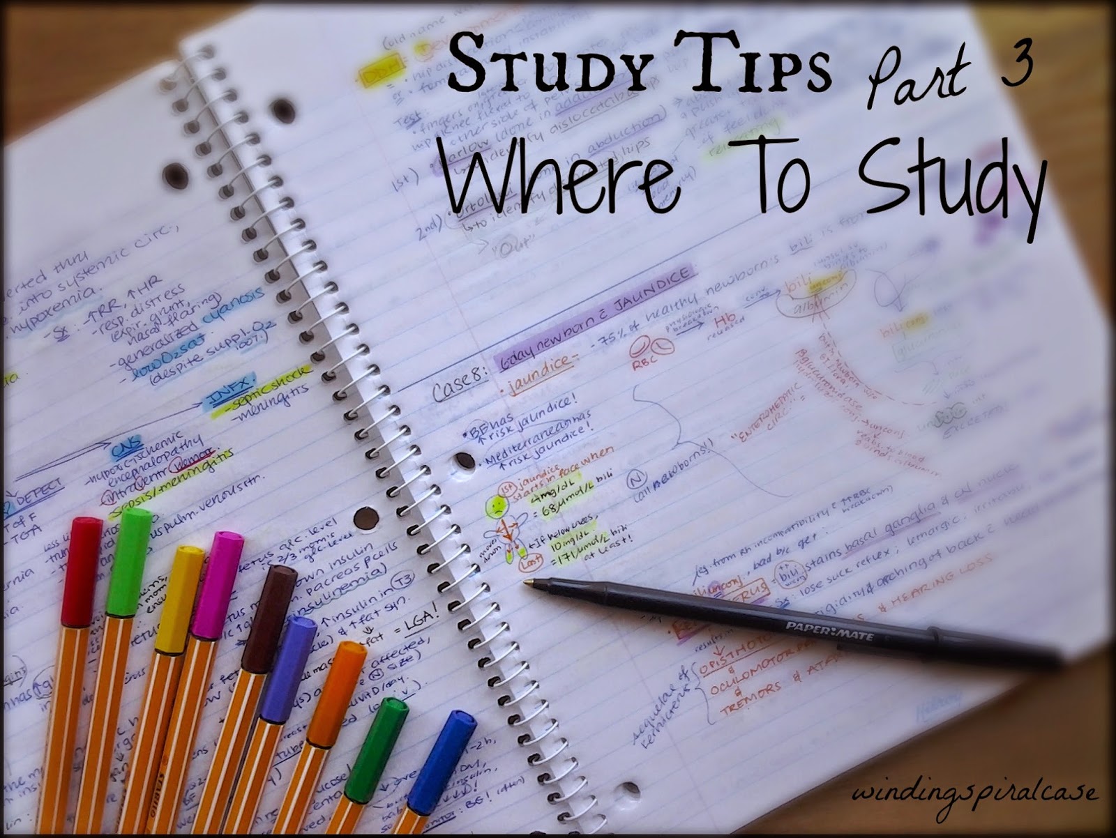 Winding Spiral Case: Study Tips: Where To Study