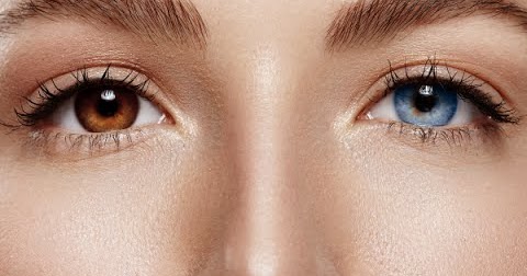 Aclara tus dudas sobre el quimerismo. ~ Una buena Historia