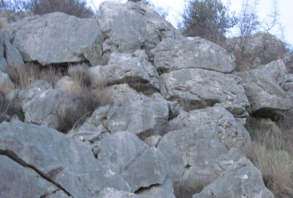 NEVJEROJATNO: OGROMAN ILIRSKO-HELENISTIČKI GRAD DREVNIH DAORSA KRIJE SE ...