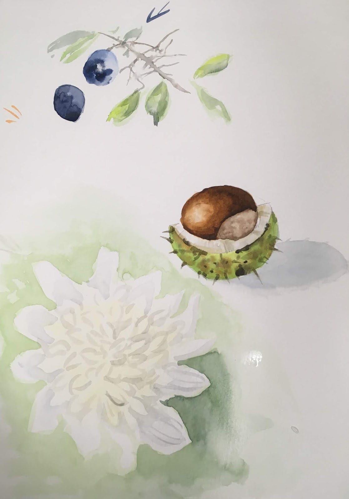 Market Harborough Art Club: Water colour demonstration - Helen Neave