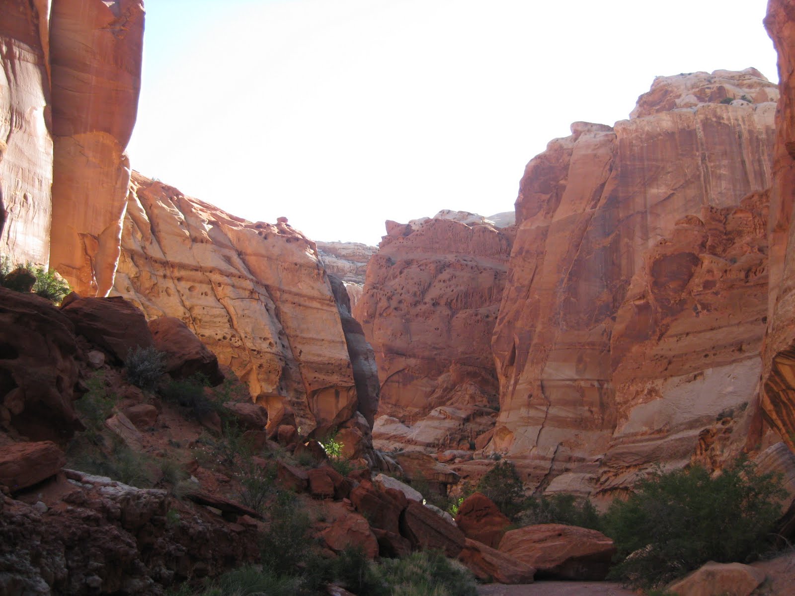 Geology Happens: Where did the Wingate go?