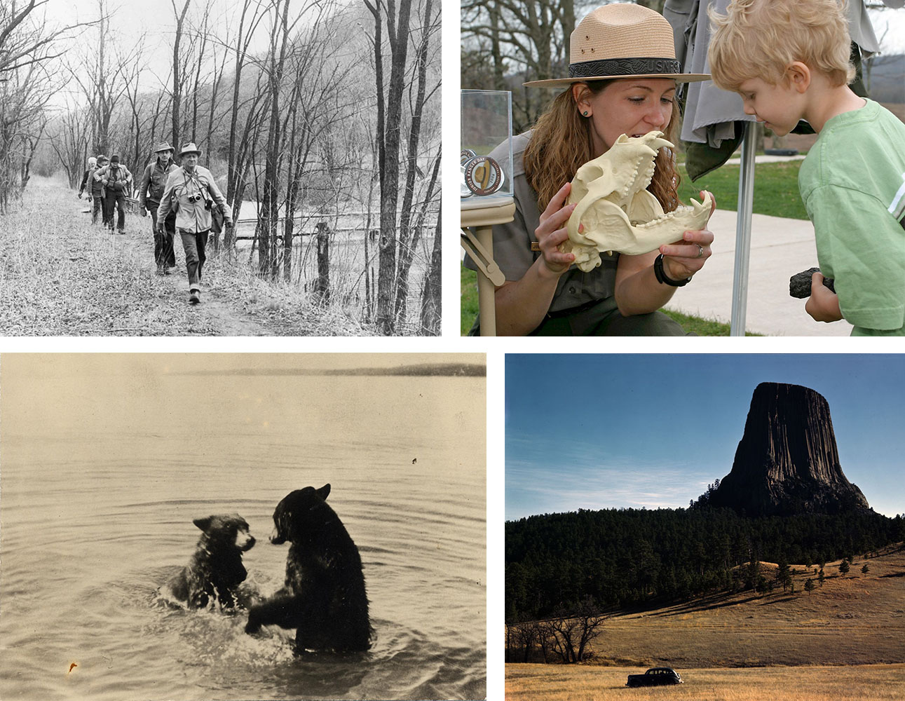 Collections in the News: NPS celebrates a century