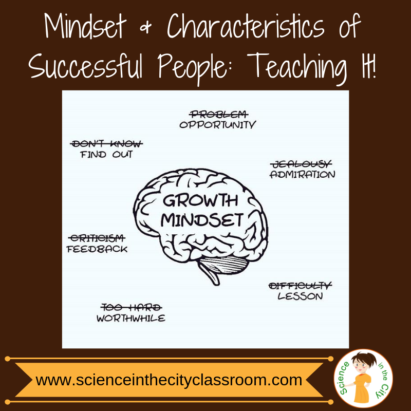 Mindset and Characteristics of Successful People: Teaching It ...