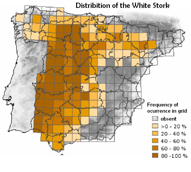 Wild Nature of the Cantabrian Mountains (Spain): White Storks nesting ...