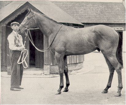 albatroz bloodstock USA: FROM NASRULLAH TO RAISE A NATIVE