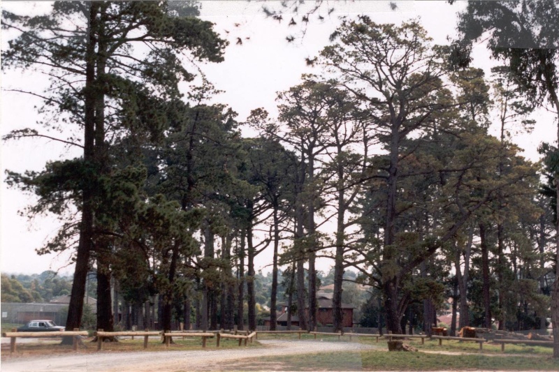 Doncaster Templestowe Historical Society: The East Doncaster Reserve ...