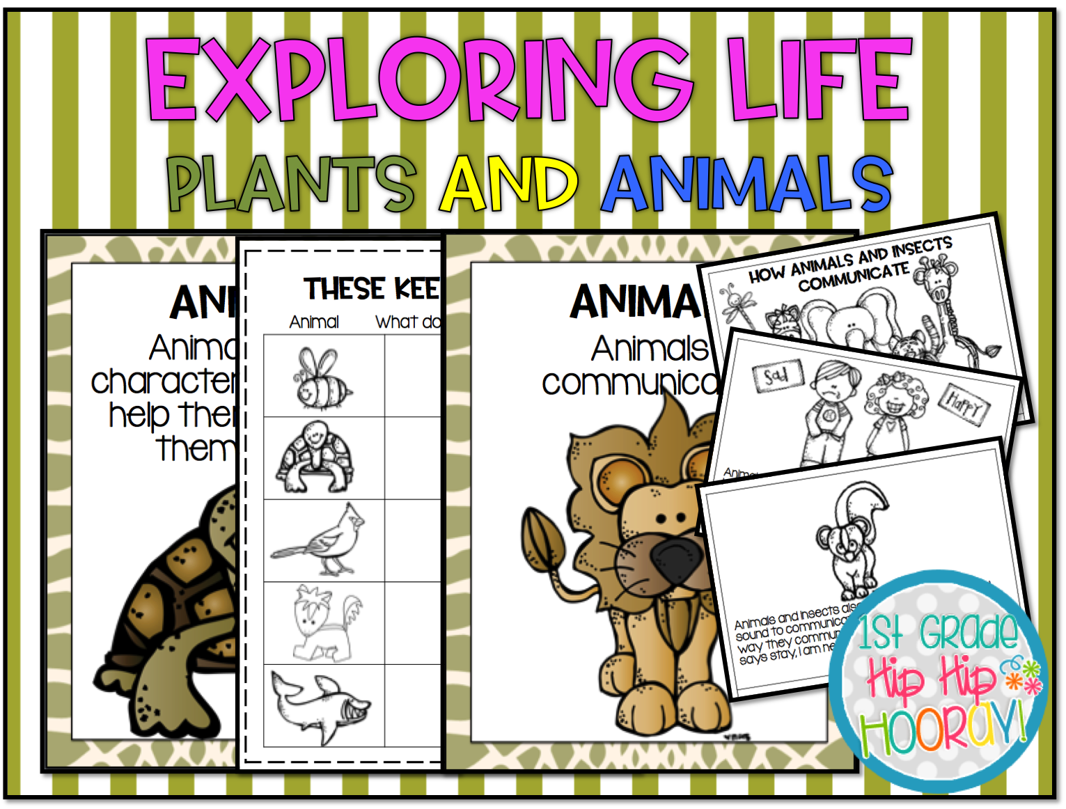 1st Grade Hip Hip Hooray!: Exploring Plants and Animals...NGSS