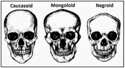 Dental Tooth Fairies
