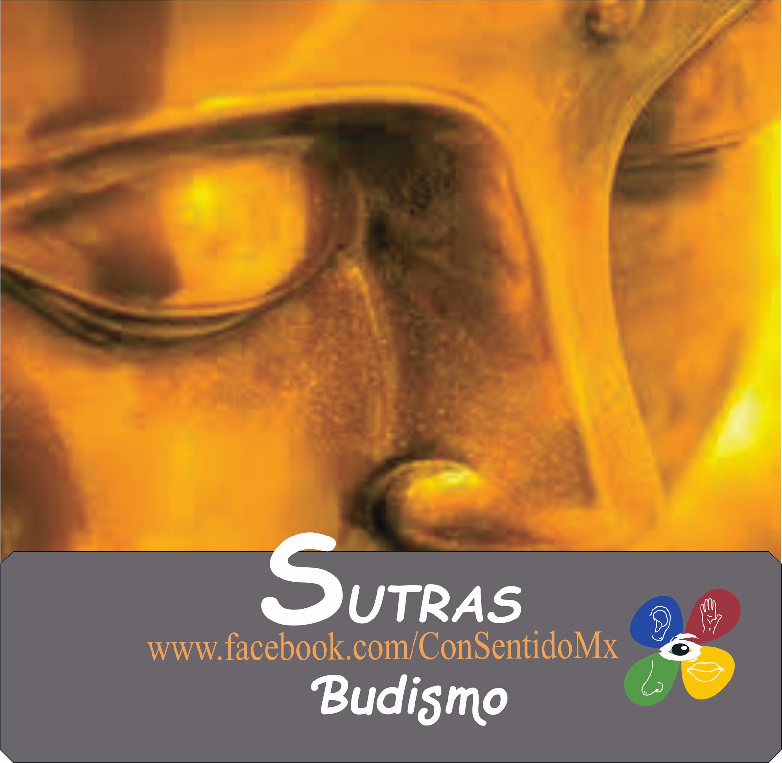 TODO ES MEDICINA: SUTRA 1: ÉL OBSERVA; TIENE CLARIDAD