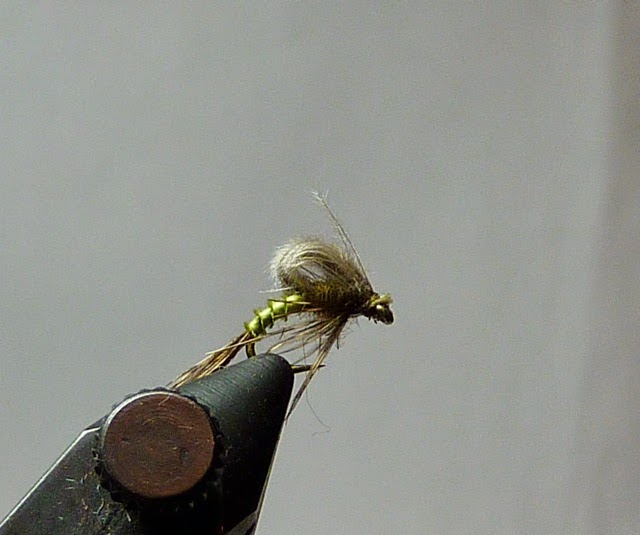 Northern Illinois Fly Tyers: Loop Wing Emerger