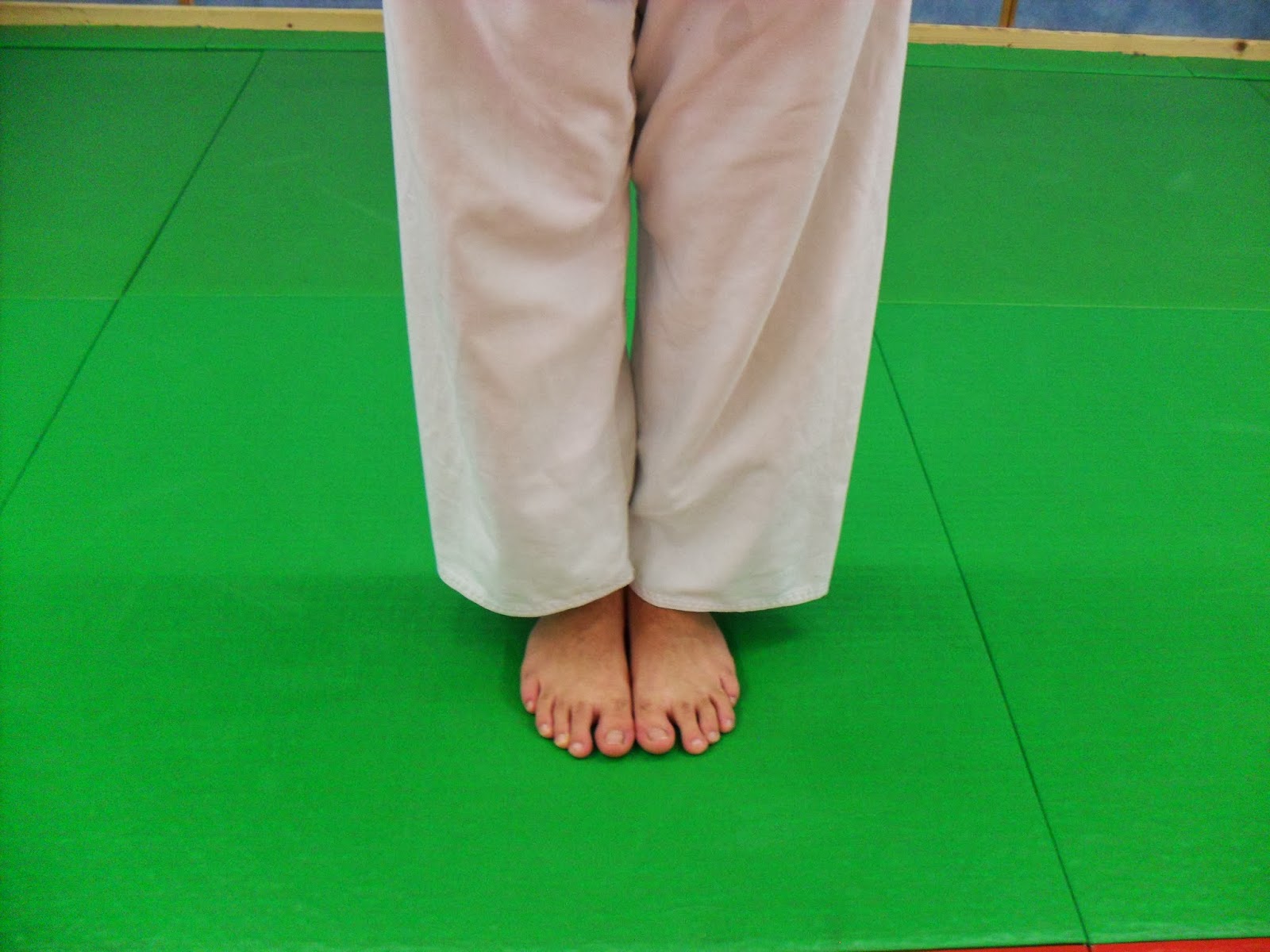 Japanese in Karate: Japanese in Karate 19 "Tachi"