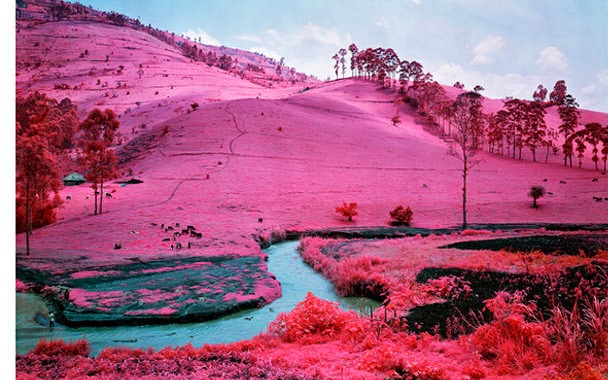 Imágenes de paisajes rosados - Imagui
