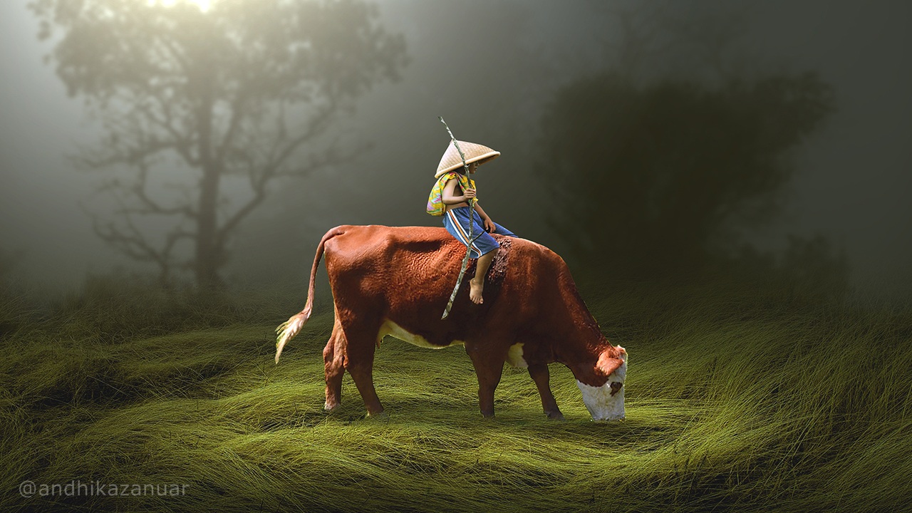 Photoshopped Animals - Dramatic Photo Effects Manipulation - zanuara.com