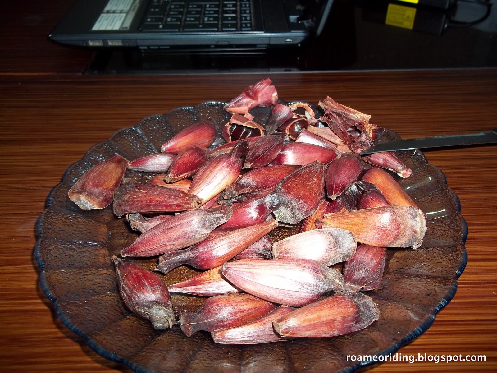 Roaming & Riding - Life Unexpected : Boiled Cockroaches anyone?