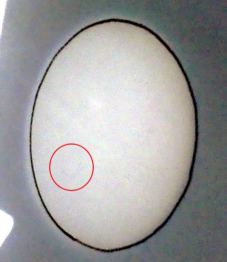 The Further Adventures of The Vagabond Astronomer: Galileo, Scheiner ...