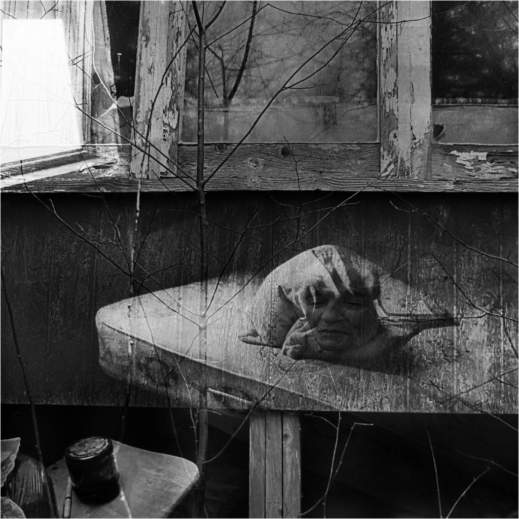 Photographer of the Week - Robert Willson