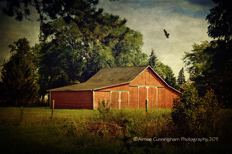 Aimee Cunningham Photography: Rural Art