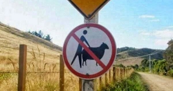 AmyOops: There's a story behind every sign...