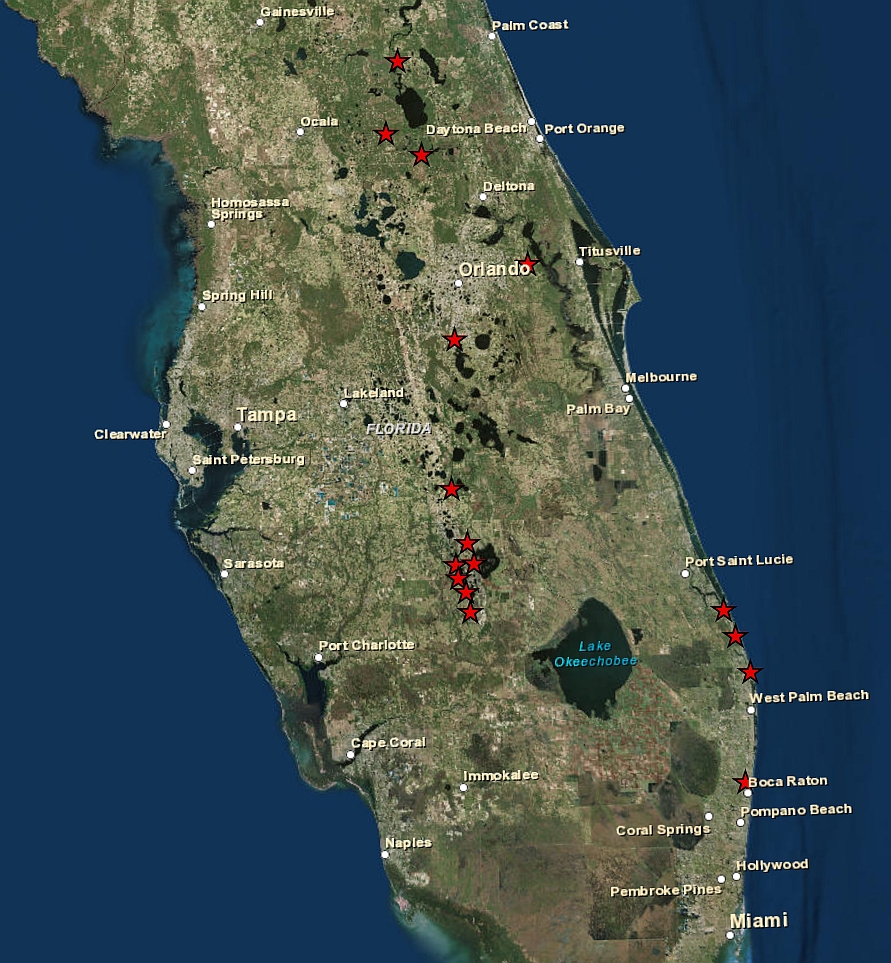 FNAI News & Notes: Species in Focus: Florida’s Red Widow Spider