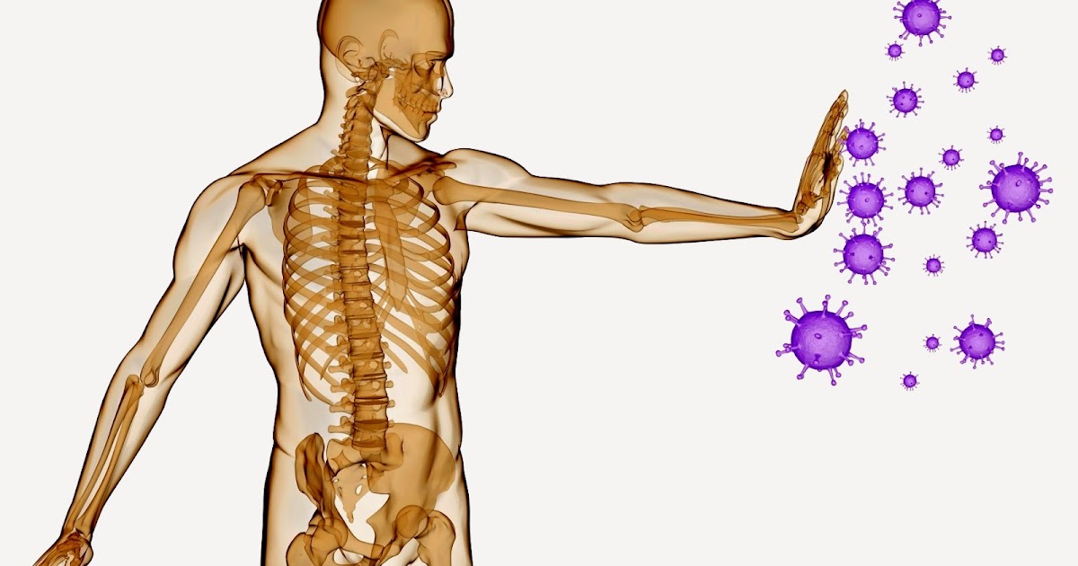 ¿Qué son las defensas en nuestro cuerpo y cómo actúan: sistema inmune?