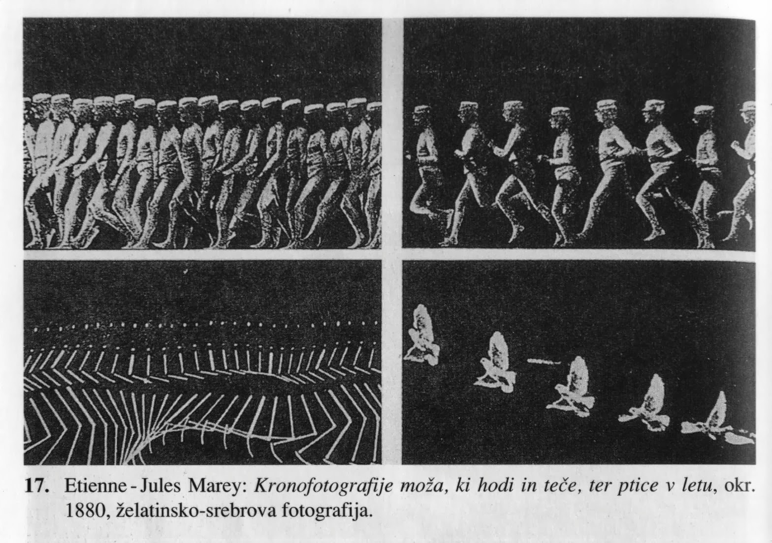 Vive, que no es poco.: Étienne Jules Marey y La cronofotografía