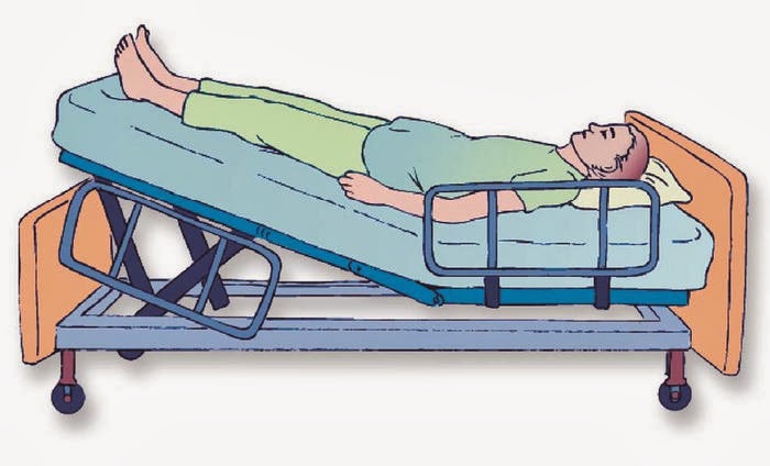 sandriluu: mecanica corporal y Posiciones anatómicas básicas