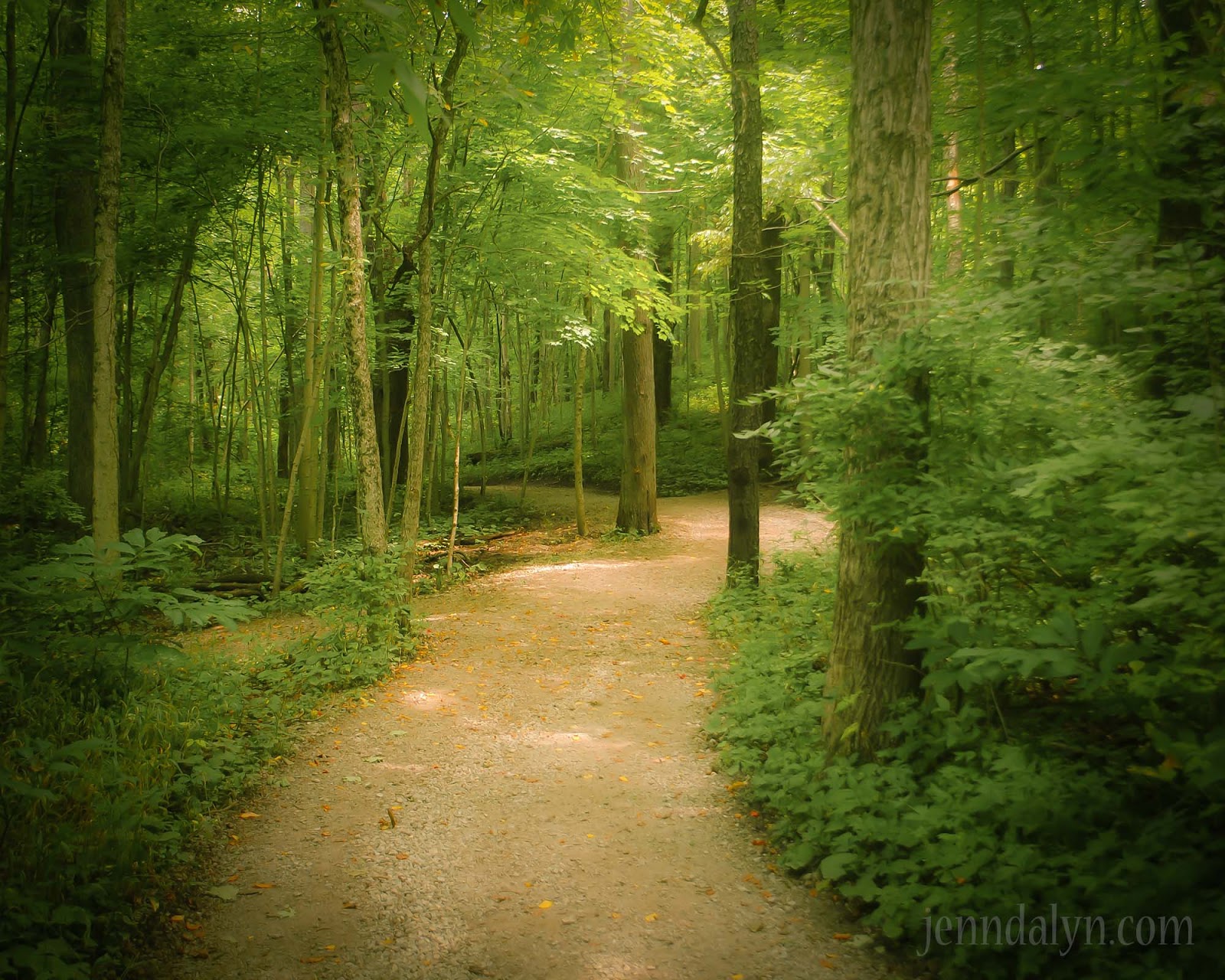 Create More Light: Tuesday Adventures: Battelle Darby Creek Metro Park