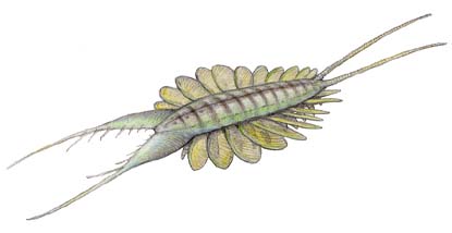 Los animales en la prehistoria: agosto 2013