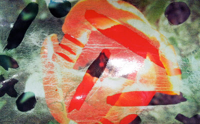 Liz Robson Photography: Curtis Mann - Bleached Photographs
